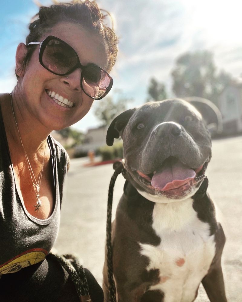 K9 INTUITION DOG TRAINING - Updated June 2025 - 99 Photos & 102 Reviews ...