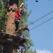 Flagstaff Extreme Adventure Course - 249 Photos & 268 Reviews ...
