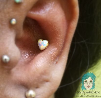 SADU BODY PIERCING & MODIFICATIONS - 199 Photos & 180 Reviews - 1515 ...