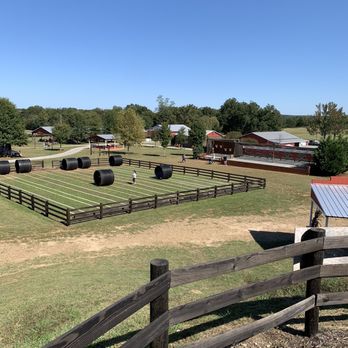 LYON FAMILY FARMS - Updated October 2025 - 17 Photos - 130 Bellview Rd ...