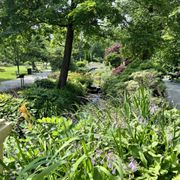 PUBLIC GARDENS PARK - 375 Photos & 86 Reviews - Spring Garden Rd ...