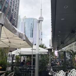 FIGO - Updated October 2025 - 697 Photos & 340 Reviews - 295 Adelaide ...