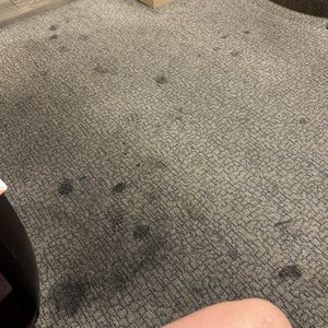 QUEST IMAGING - STOCKDALE - Updated May 2025 - 76 Reviews - 9602 ...