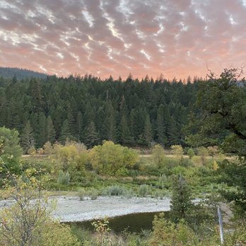 CEDAR BLOOM FARM - Updated January 2026 - 29 Photos - 160 Ollis Rd ...