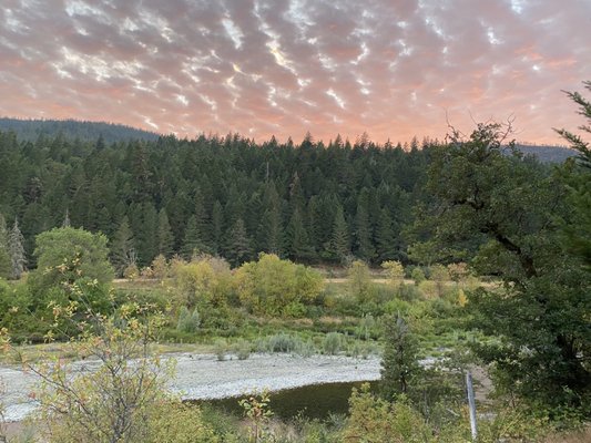 CEDAR BLOOM FARM - Updated February 2025 - 29 Photos - 160 Ollis Rd ...