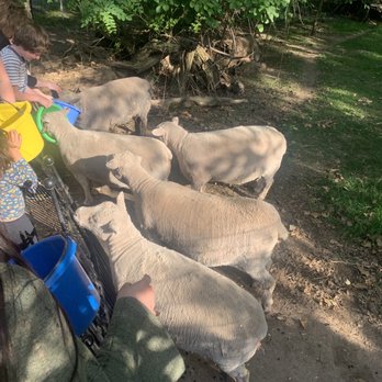 ROSE BRIDGE FARM & SANCTUARY - Updated August 2024 - 193 Photos & 73 ...