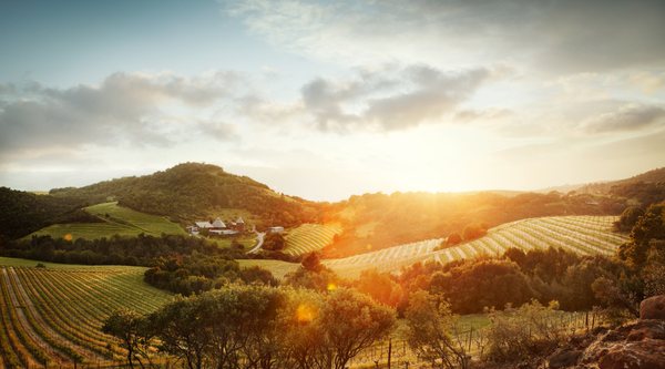 REPRIS WINES - Updated July 2024 - 148 Photos & 77 Reviews - 1700 Moon ...