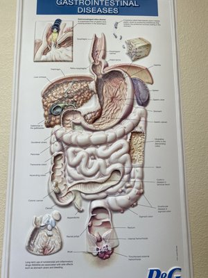MONTEREY BAY GI CONSULTANTS MEDICAL GROUP - Updated January 2026 - 24 ...