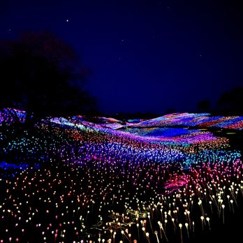 SENSORIO - Updated May 2024 - 2411 Photos & 512 Reviews - 4380 Hwy 46 E ...