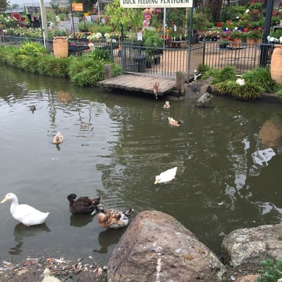 RIVERS OF YARRAMBAT - Updated December 2025 - 11 Photos - 28 Kurrak Rd ...