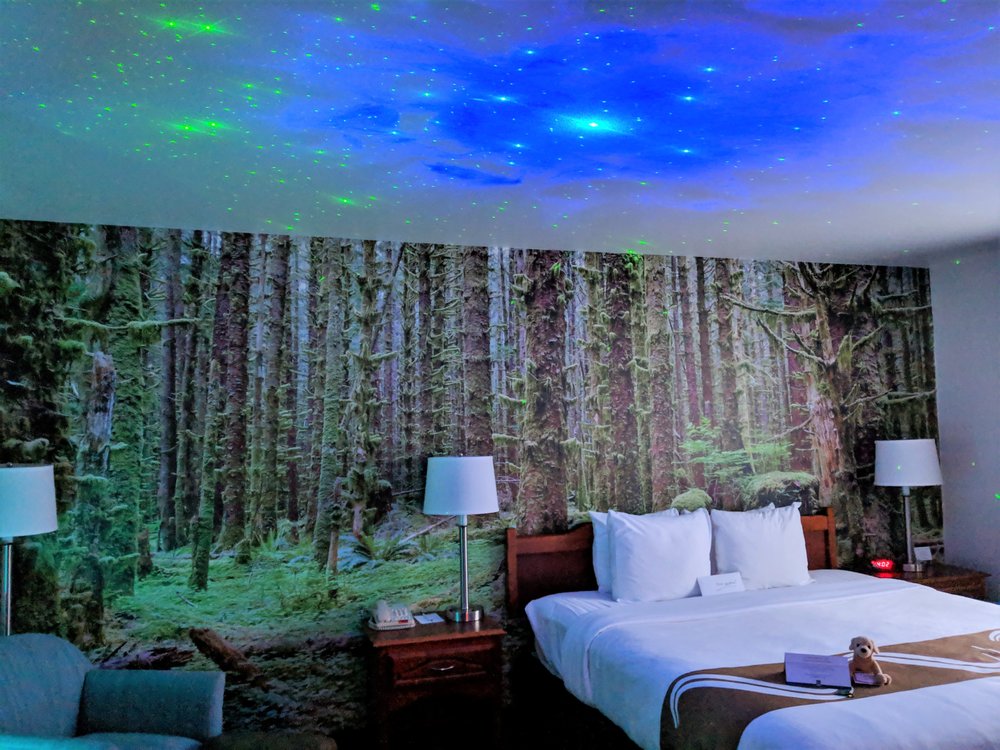 QUALITY INN & SUITES AT OLYMPIC NATIONAL PARK - Updated May 2024 - 29 ...