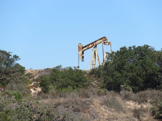 LOS FLORES RANCH PARK - Updated October 2025 - 22 Photos & 14 Reviews ...