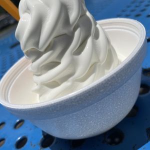 BO’S ICE CREAM - 172 Photos & 257 Reviews - 7101 N Florida Ave, Tampa ...