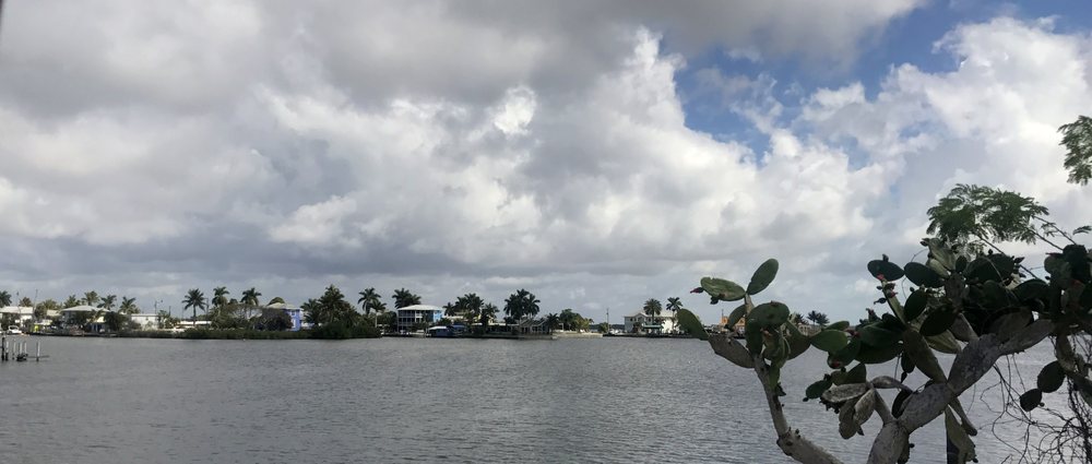 PINE ISLAND - 87 Photos - Pineland, Florida - Local Flavor - Yelp