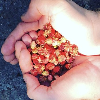 ISLE ROYALE NATIONAL PARK - Updated June 2025 - 61 Photos & 14 Reviews ...