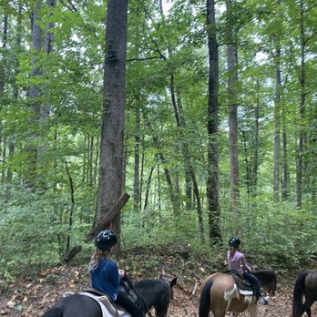 SUGARLANDS RIDING STABLE - Updated May 2025 - 131 Photos & 130 Reviews ...