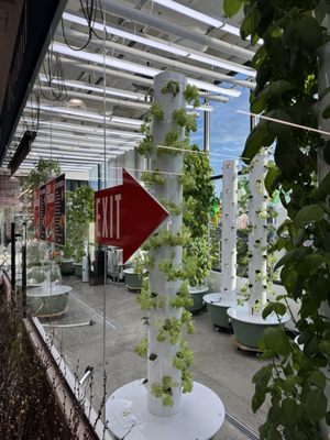 KASIA MARKET - Updated December 2025 - 207 Photos & 34 Reviews - 2311 ...