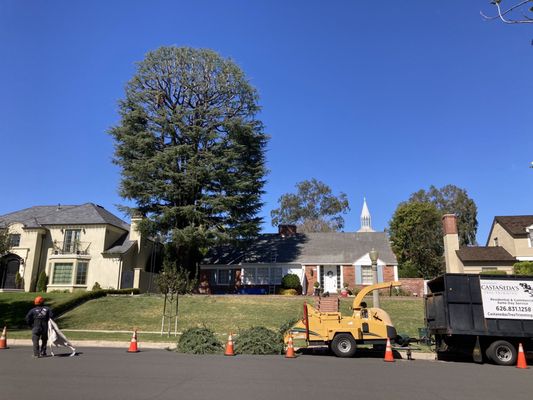CASTANEDA’S TREE TRIMMING - Updated April 2025 - 34 Photos & 20 Reviews ...