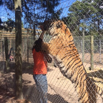 SINGLE VISION SANCTUARY - Updated November 2025 - 14 Photos - 15 ...