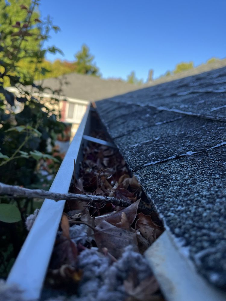 USA PRO MAINTENANCE GUTTERS AND WINDOWS - Updated January 2025 - 23 ...