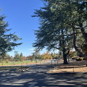 VASONA LAKE COUNTY PARK - Updated December 2025 - 1317 Photos & 449 ...