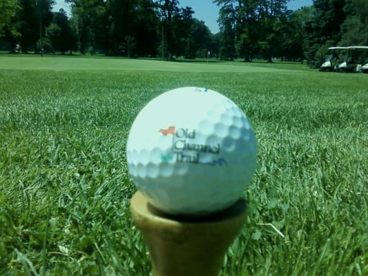 OLD CHANNEL TRAIL GOLF COURSE - Updated June 2025 - 8325 N Old Channel ...