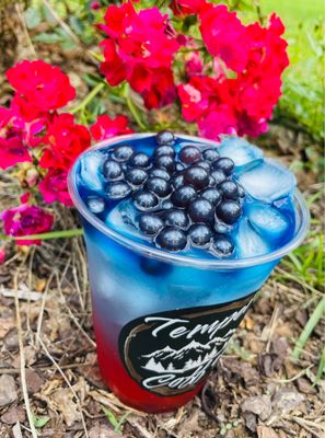 TEMPER COFFEE - Updated December 2025 - 35 Photos - 1761 Montgomery Hwy ...