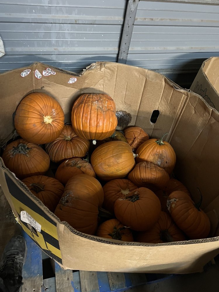 MILLER FARMS - 86 Photos & 64 Reviews - 9040 Hwy 66, Platteville ...