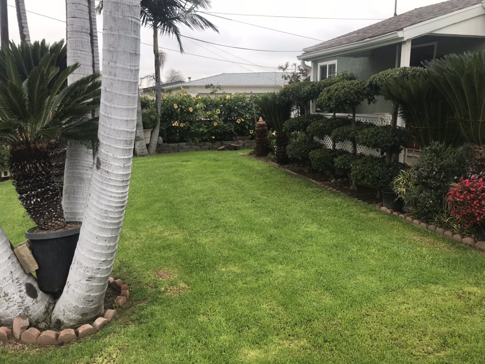 AARON GARDEN - Request a Quote - Baldwin Park, California - Gardeners ...