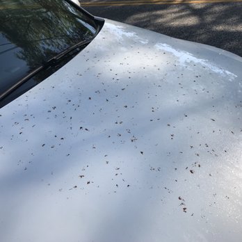 UNIQUE AUTO SPA - Updated October 2025 - 26 Photos & 30 Reviews - 8396 ...