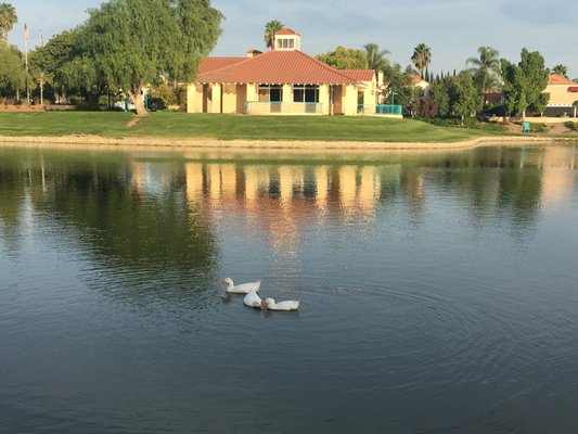 MENIFEE LAKES COUNTRY CLUB - 44 Photos & 59 Reviews - Venues & Event ...