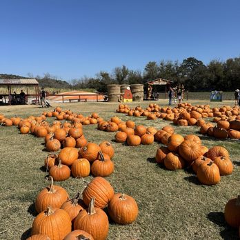 SWEET BERRY FARM - Updated October 2025 - 285 Photos & 185 Reviews ...