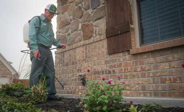 GECKO GREEN LAWN CARE - Updated October 2025 - 47 Photos & 91 Reviews ...