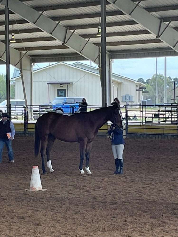 KLAYRE’S SPORTHORSES & SEWARD STABLES - Updated June 2024 - Request ...