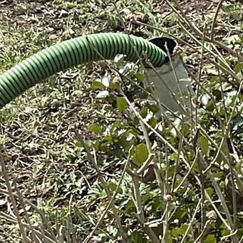 STINKY’S SEPTIC SERVICES - Updated December 2025 - 11 Photos & 11 ...