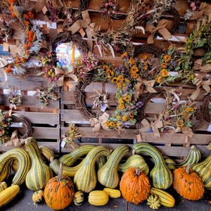 WAAAM - WESTERN ANTIQUE AEROPLANE & AUTOMOBILE MUSEUM - Updated ...