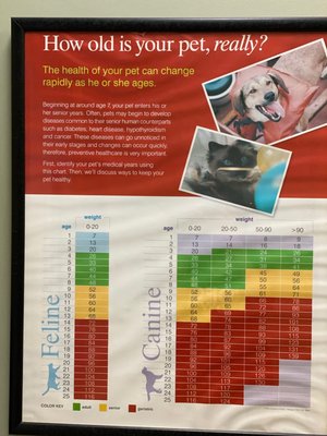 POPLAR ANIMAL HOSPITAL - Updated December 2025 - 13 Photos & 40 Reviews ...