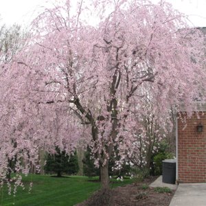 MUSSER FORESTS - Updated August 2025 - 1880 Route 119 Hwy N, Indiana ...