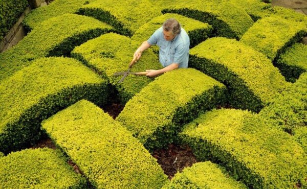 THE MAGIC HEDGE - Updated October 2025 - 200 West Montrose Harbor Dr, Chicago, Illinois ...