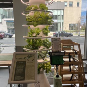 ELEMENT BOSTON SEAPORT DISTRICT - Updated December 2025 - 158 Photos ...