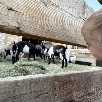 FERRARI FARMS - Updated October 2024 - 145 Photos & 60 Reviews - 4701 ...