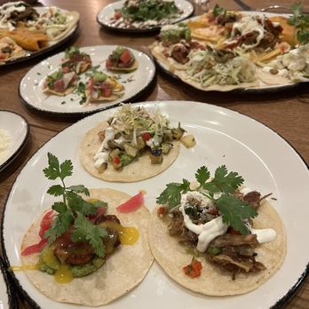 THE PAINTED BURRO - HARVARD SQUARE - Updated December 2025 - 101 Photos ...