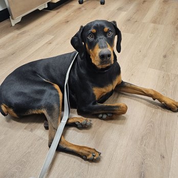 HESS RIDGE ANIMAL HOSPITAL - Updated December 2025 - 21 Photos - 12225 ...