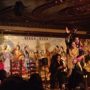 VILLA-ROSA - 147 Photos & 32 Reviews - Plaza Santa Ana, Pohjois-Savo ...