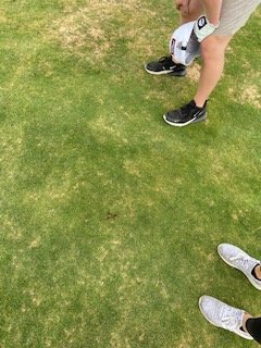 REESE GOLF CENTER - Updated October 2025 - 14 Reviews - 1406 Quitsna ...