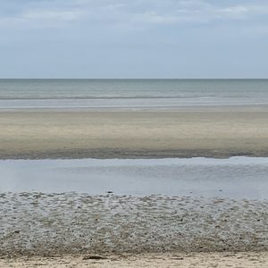 LONG NECK BEACH - Truro, MA - Yelp