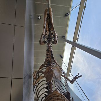 PEROT MUSEUM OF NATURE AND SCIENCE - Updated September 2024 - 2339 ...