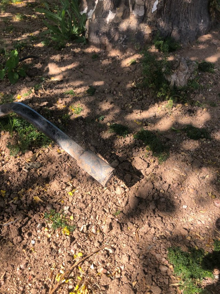 RAPID TREE REMOVAL & TRIMMING - Updated June 2024 - Request a Quote ...