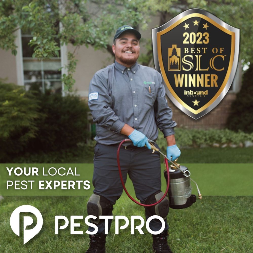 PEST PRO PEST CONTROL - Updated July 2024 - 52 Photos & 21 Reviews ...