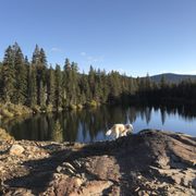 PACKER LAKE LODGE - 62 Photos & 34 Reviews - 3901 Packer Lake Rd ...